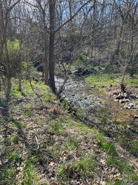 Woods Creek Trail – Native Plants of W&L
